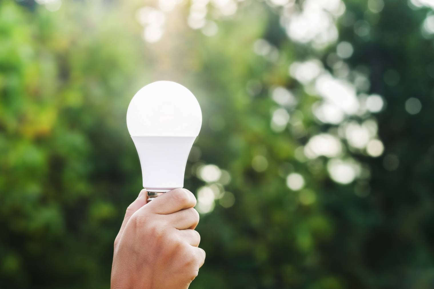 Lampes LED : quels sont leurs atouts écologiques